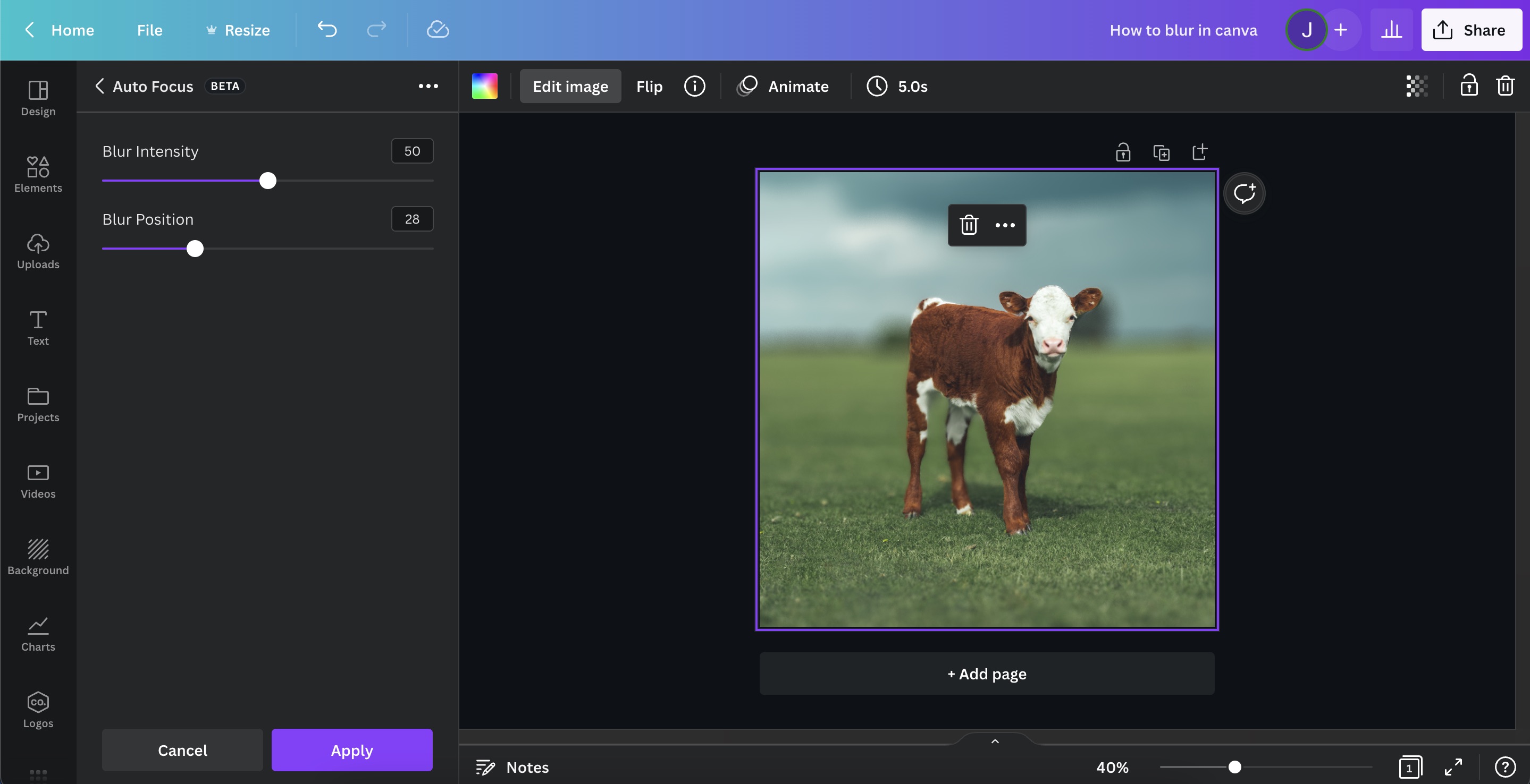 How to Blur in Canva - Photos, Texts, & Backgrounds | Xenyo